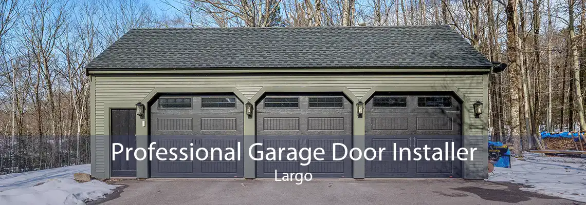Professional Garage Door Installer Largo | Professional Garage Door ...